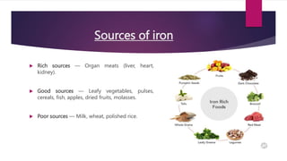 IRON_METABOLISM[1].pptx