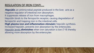 IRON METABOLISM 101.pptx