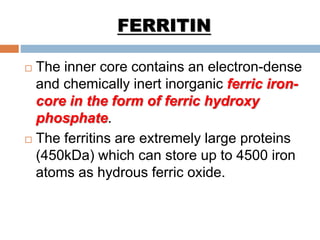 Iron metabolism PART I | PPTX | Blood Disorders | Diseases and Conditions