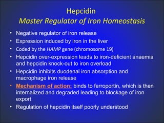 Iron Metabolism | PPT