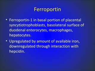 Iron Metabolism | PPT