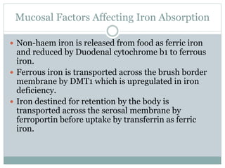 IRON METABOLISM AND IRON DEFICIENCY ANAEMIA BABACOCK.pptx