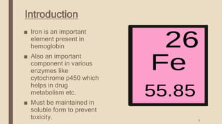 Iron Metabolism and Its Related Diseases | PPTX