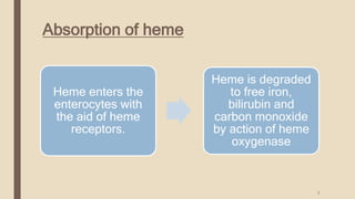 Iron Metabolism and Its Related Diseases | PPTX