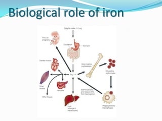 Iron overload intro | PPT