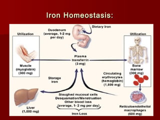 Iron overload | PPT