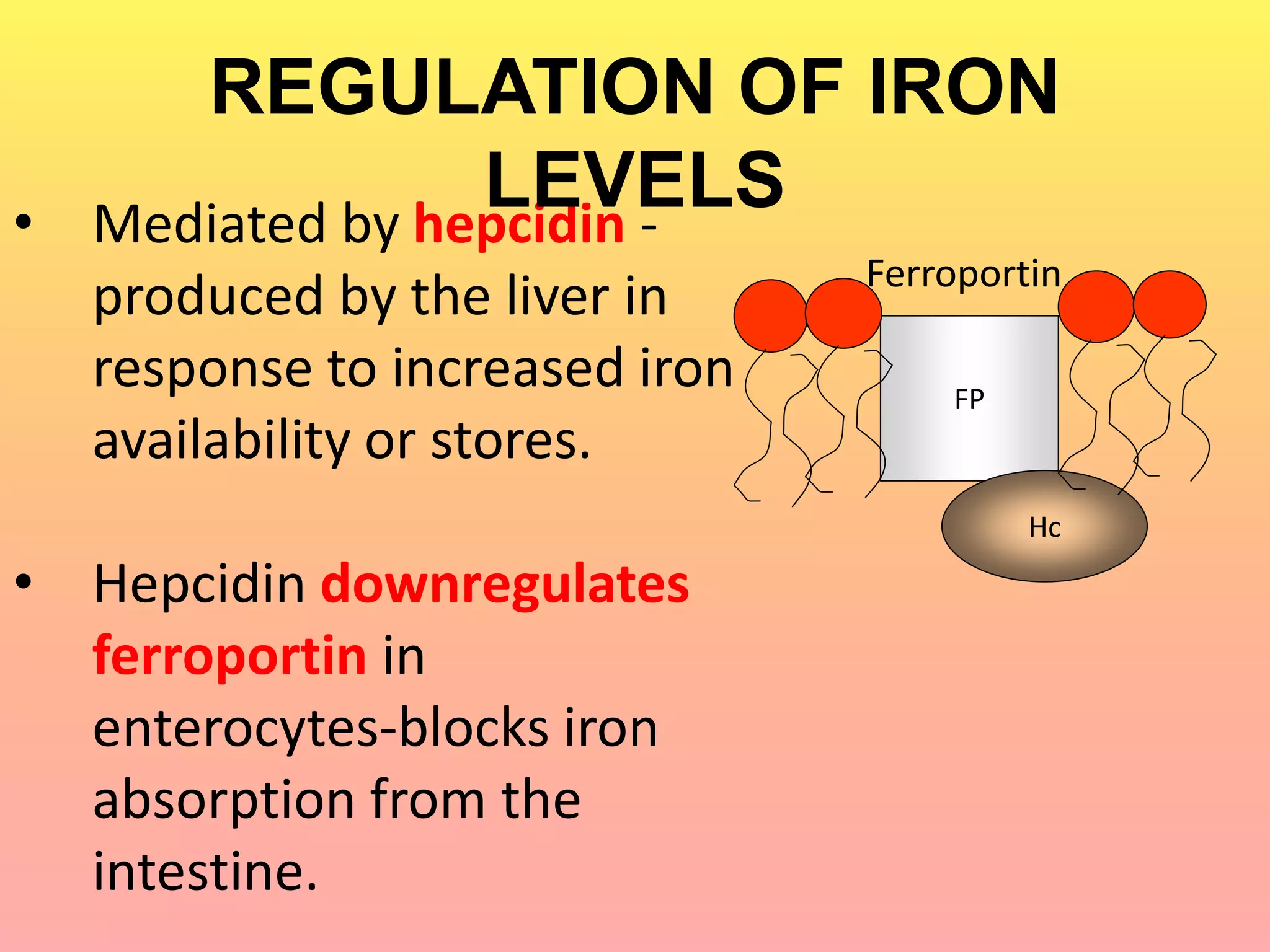 Iron physiology | PPTX