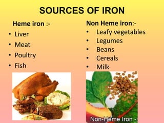 Iron physiology | PPTX