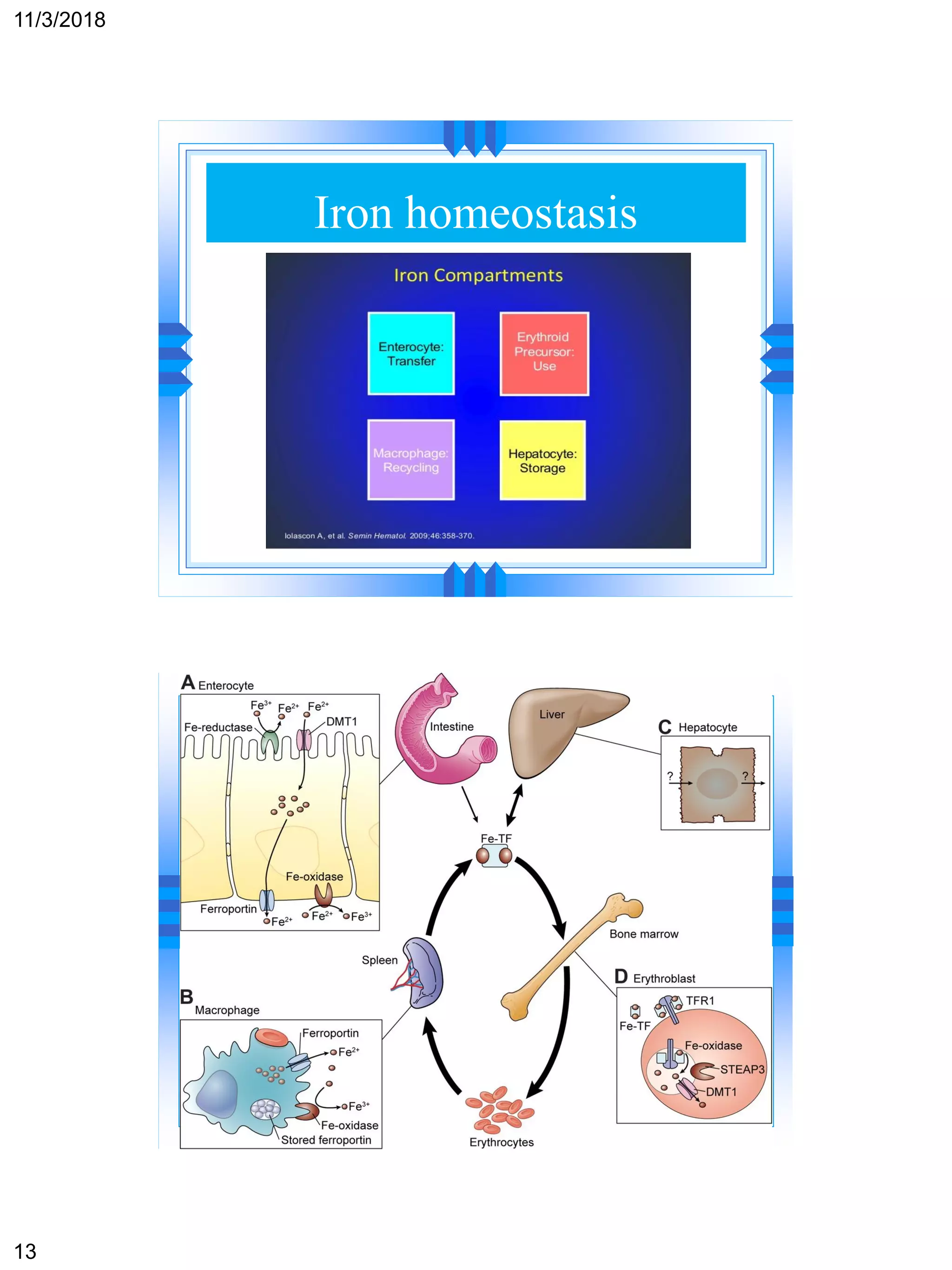 Iron refractory iron deficiency anemia1 | PDF