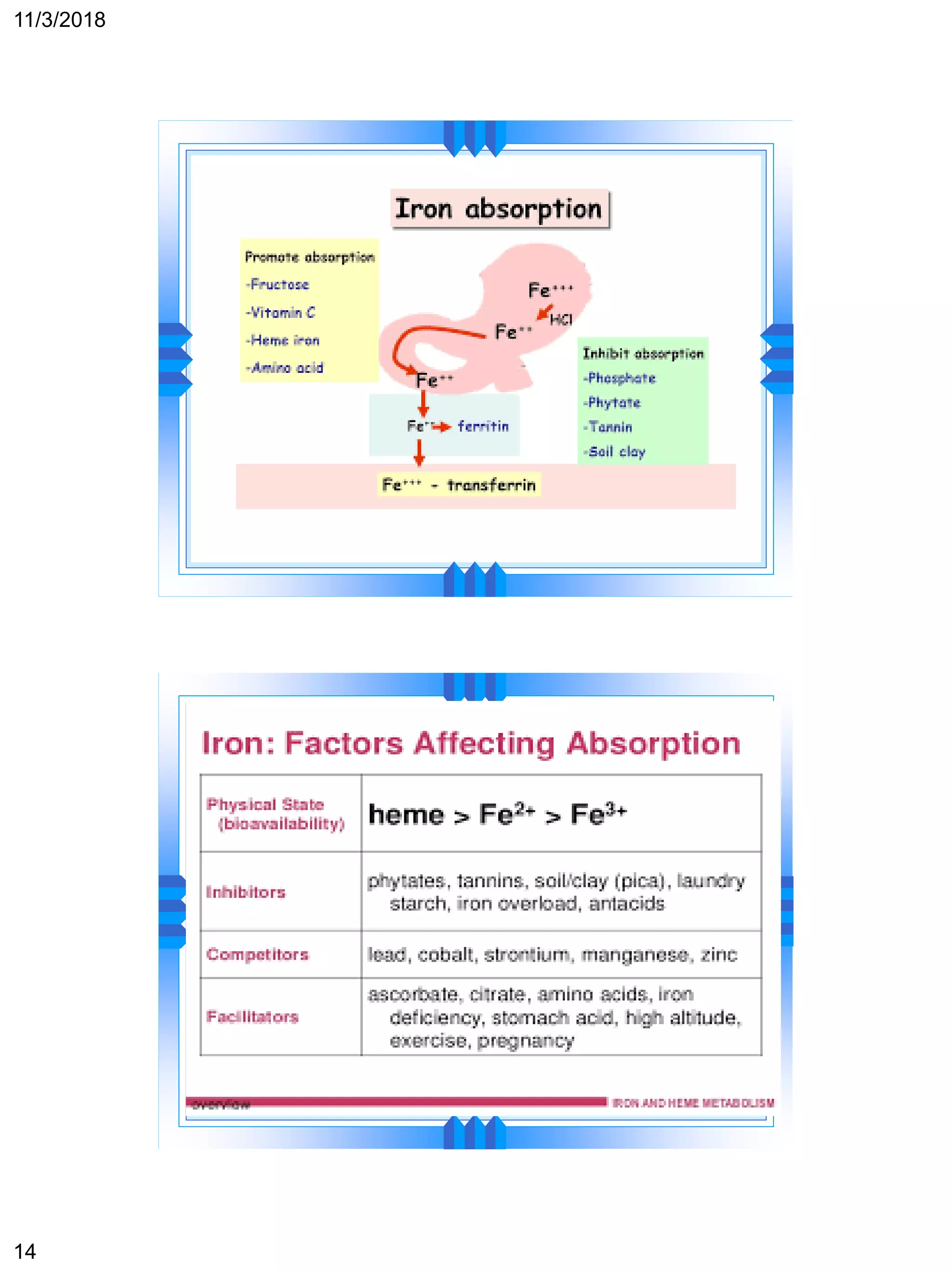 Iron refractory iron deficiency anemia1 | PDF