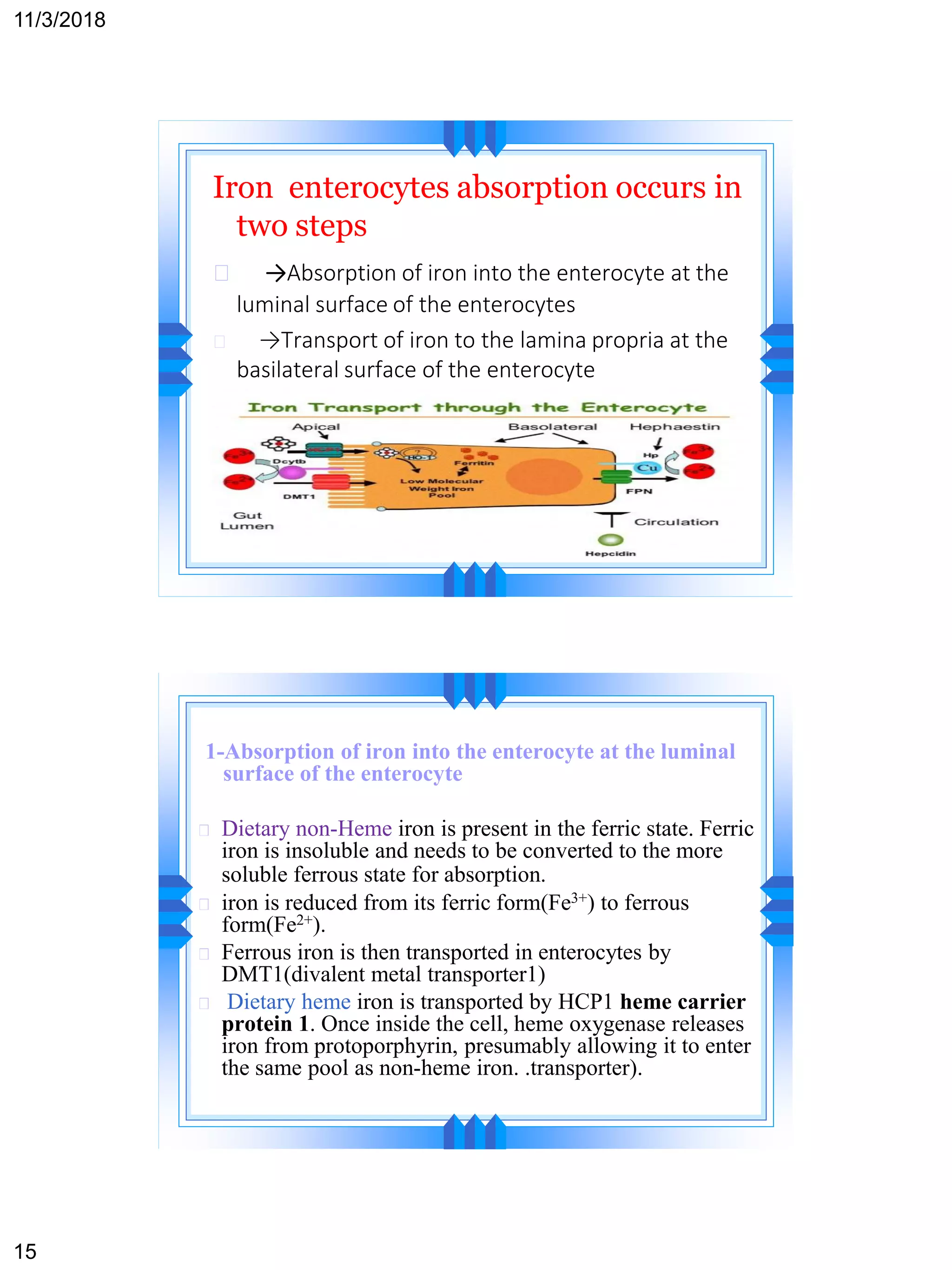 Iron refractory iron deficiency anemia1 | PDF
