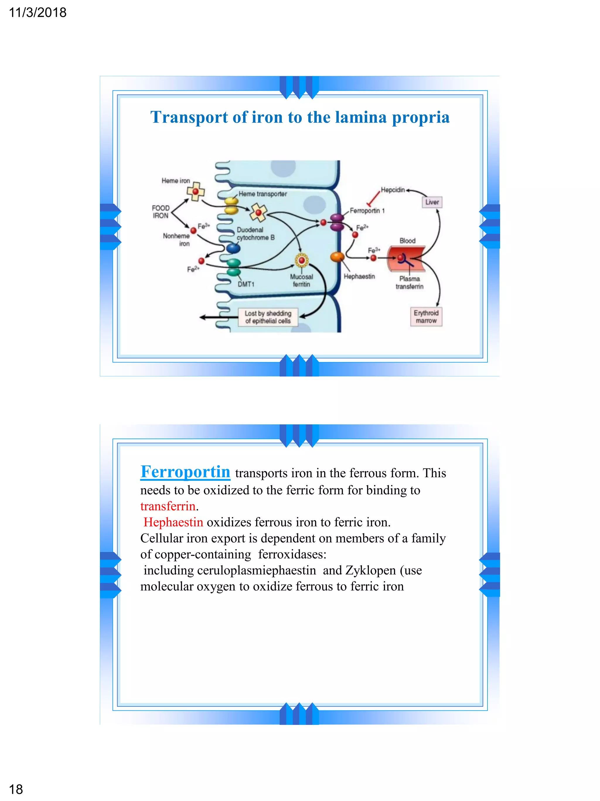 Iron refractory iron deficiency anemia1 | PDF