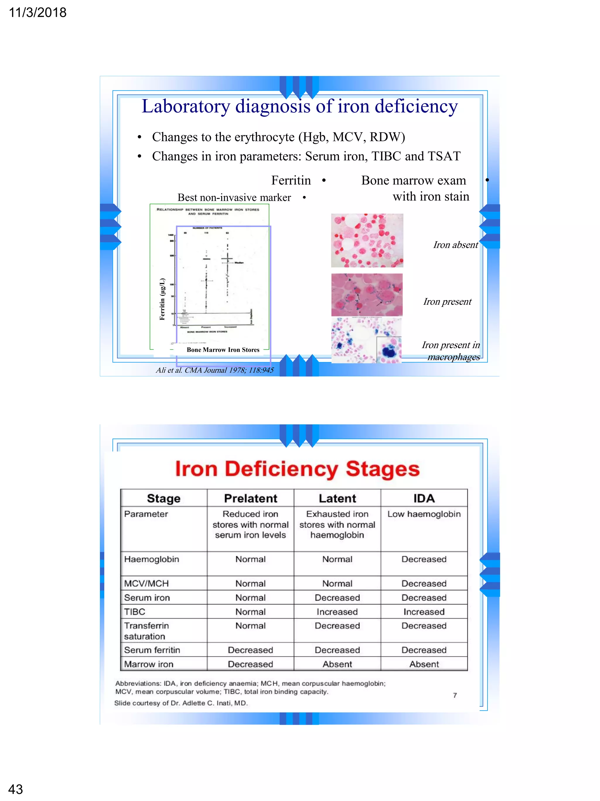 Iron refractory iron deficiency anemia1 | PDF