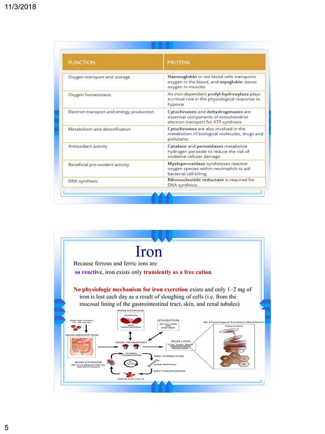 Iron refractory iron deficiency anemia1 | PDF