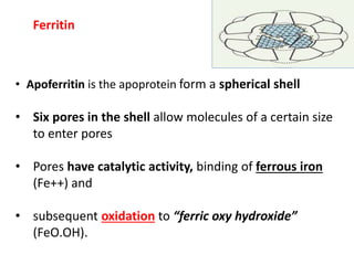 Irons -minerals and trace elements | PPTX