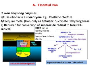 Irons -minerals and trace elements | PPTX