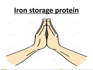 Iron storage protein | PPTX