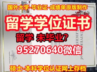 UNSW成绩单 | PDF