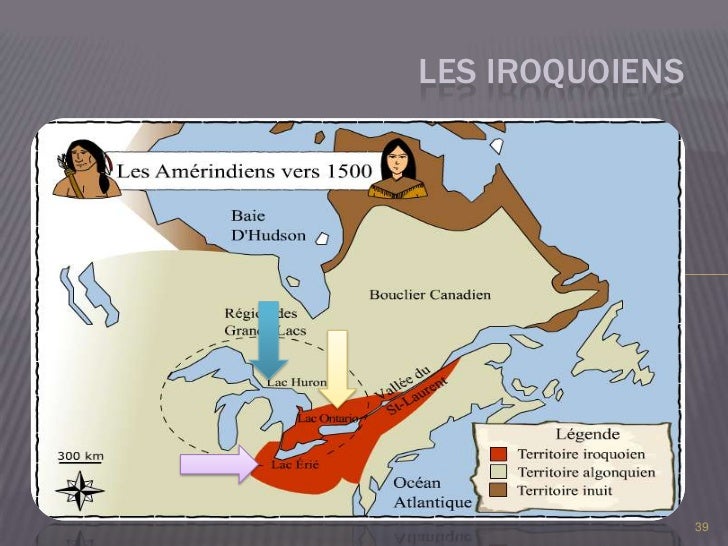Comment Faire Des Iroquois: Crête Iroquoise Hérault – BLKXFS