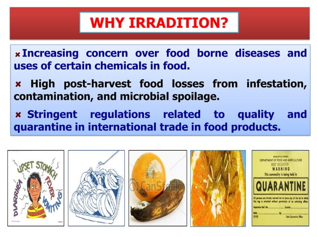 Application of irradiation technology in food industry | PDF ...