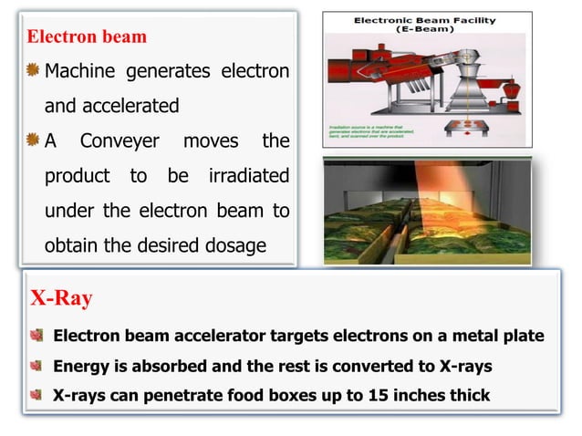 Application of irradiation technology in food industry | PDF ...