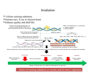 Irradiation and application of fruits and vegetables | PPTX