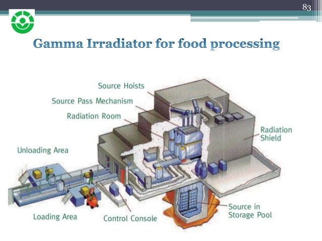 Irradiation preservation of foods