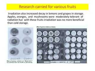 Irradiation to improve quality and post harvest preservation of ...