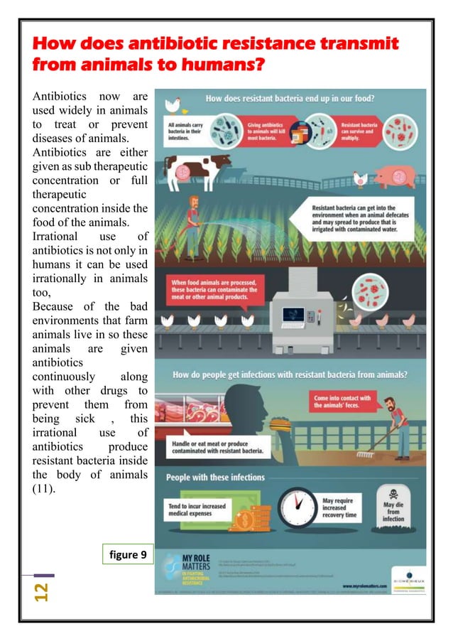 Irrational use of antibiotics 2018 | PDF | Infectious Diseases ...