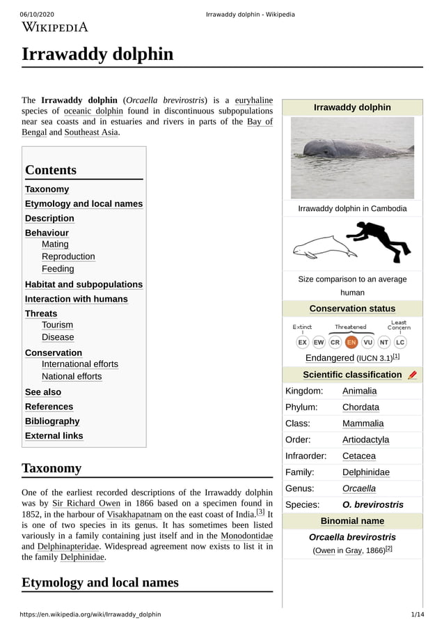 Irrawaddy dolphin : Notes | PDF