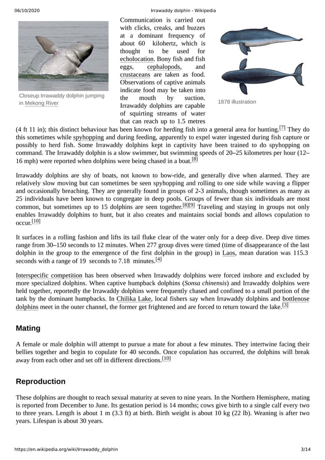 Irrawaddy dolphin : Notes | PDF