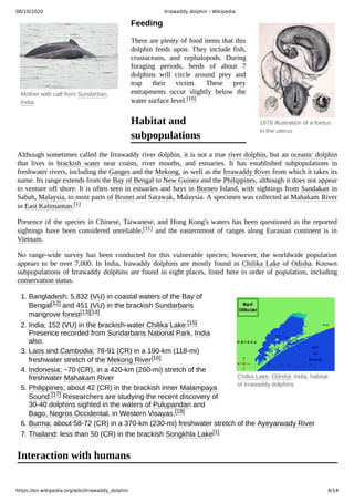 Irrawaddy dolphin : Notes | PDF