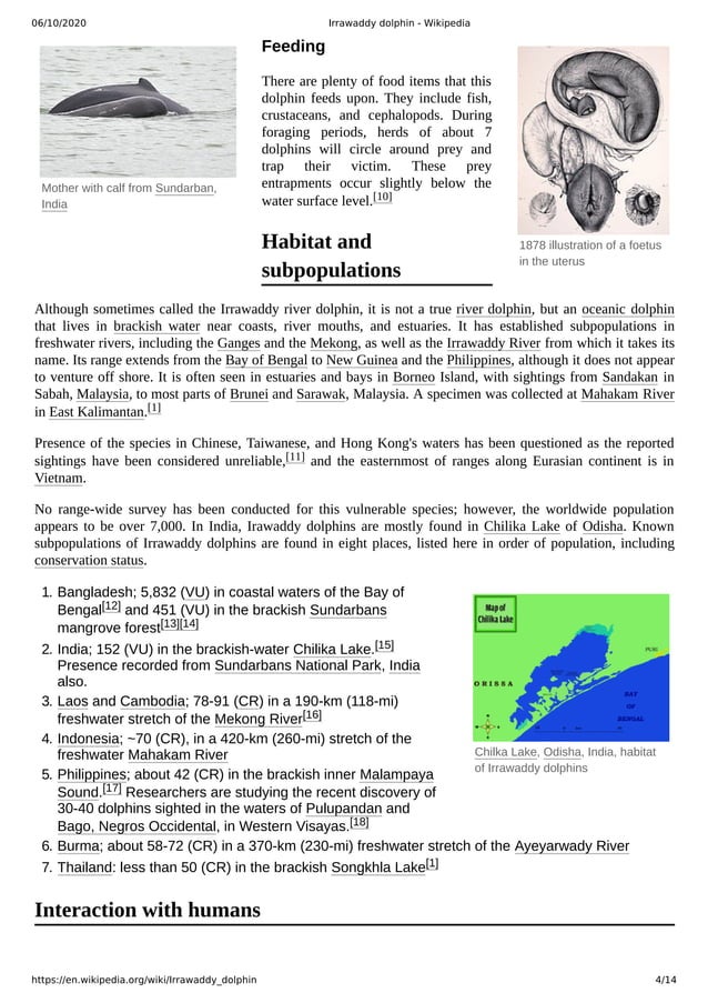 Irrawaddy dolphin : Notes | PDF