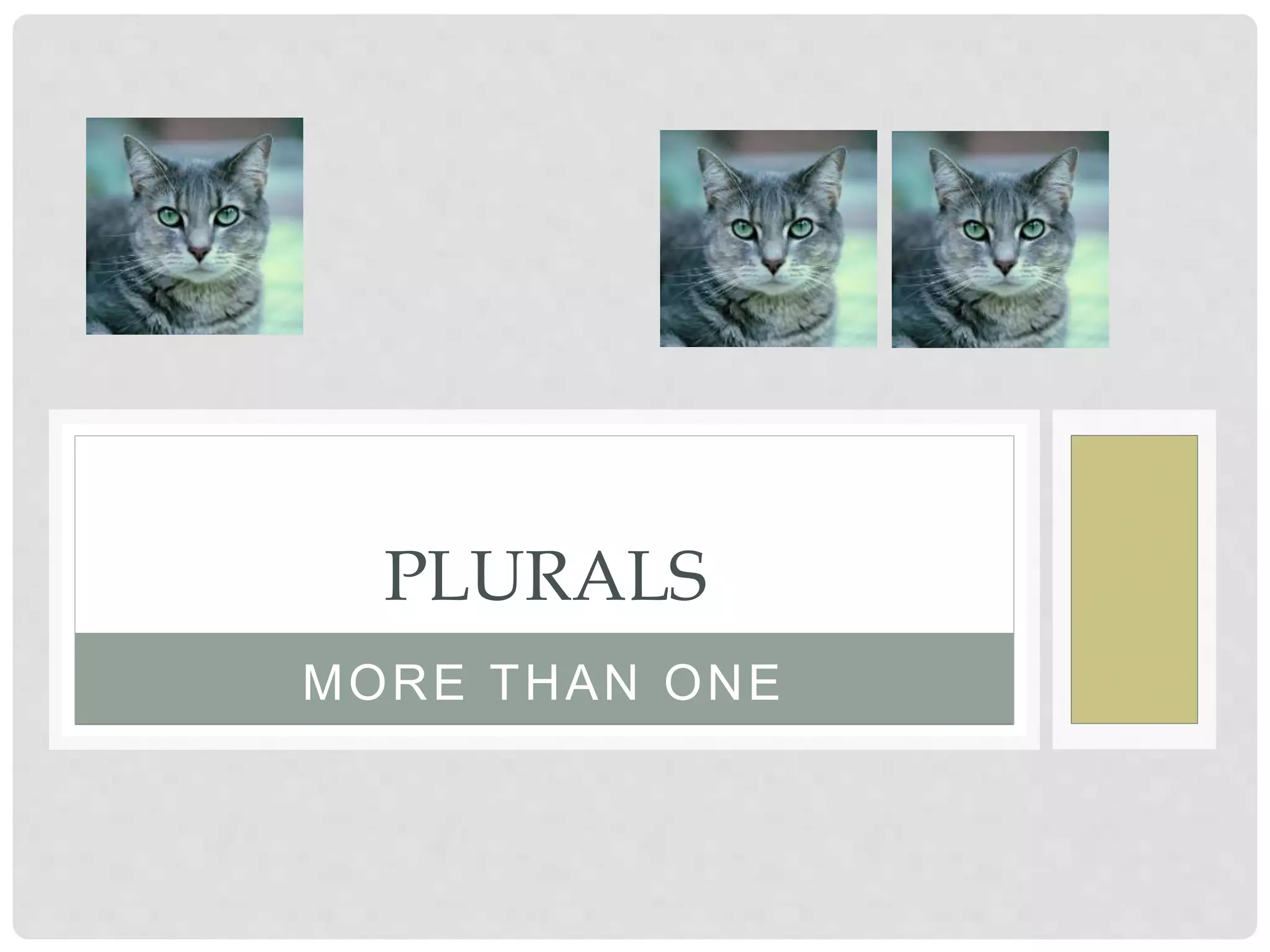 ESL 0801 Week 4 Irregular plurals-fun-activities-games 76341 | PPTX