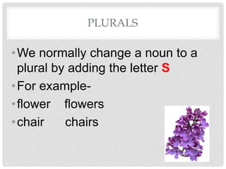 ESL 0801 Week 4 Irregular plurals-fun-activities-games 76341 | PPT