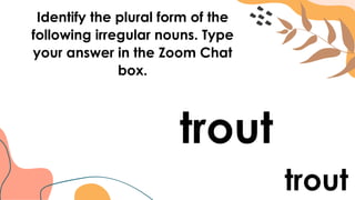 Irregular Nouns.pptx