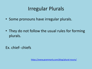 Irregular plurals 7 | PPT