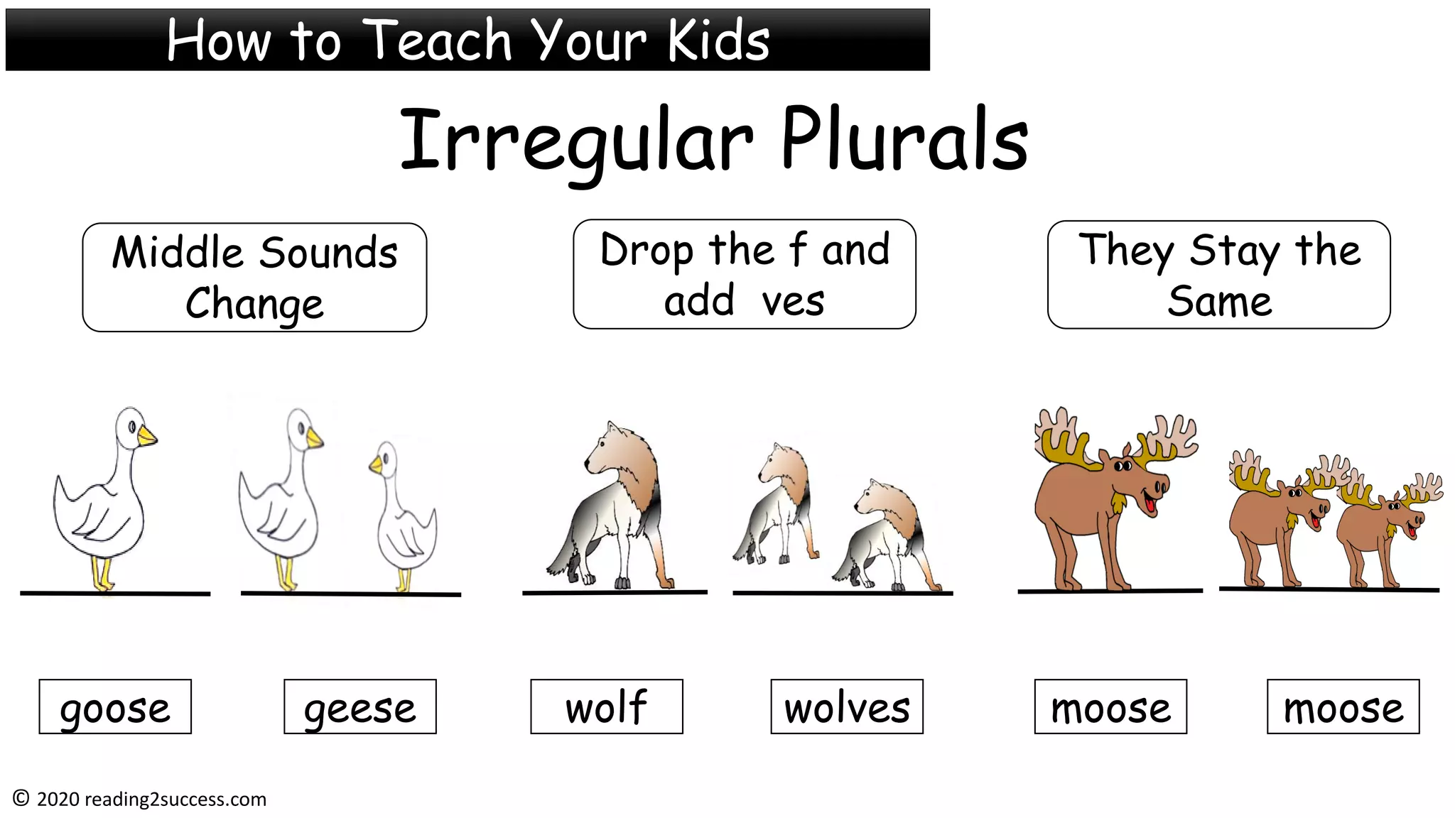 Irregular plurals templates for YouTube Video | PDF