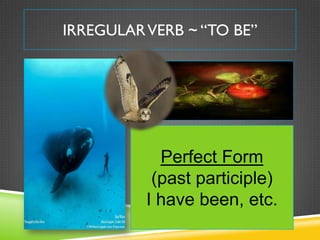 Irregular verbs 1-13 | PPT