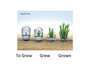 Irregular verbs | PPT | Food & Drink