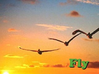 Irregular verbs 2° a | PPT