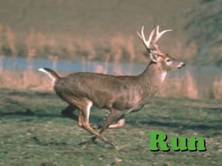 Irregular verbs 2° a | PPT