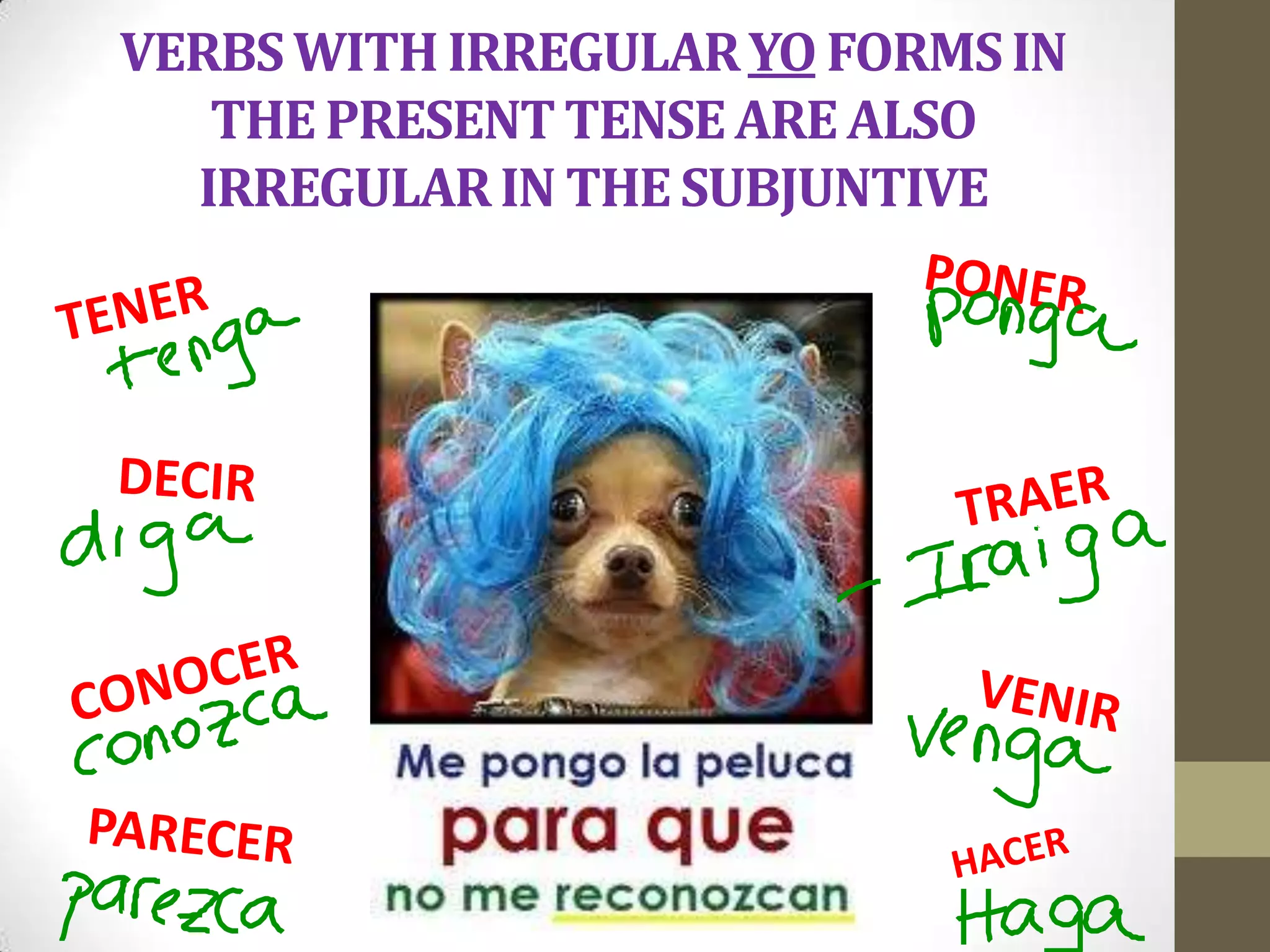 Irregular verbs in the subjuntivo | PPTX