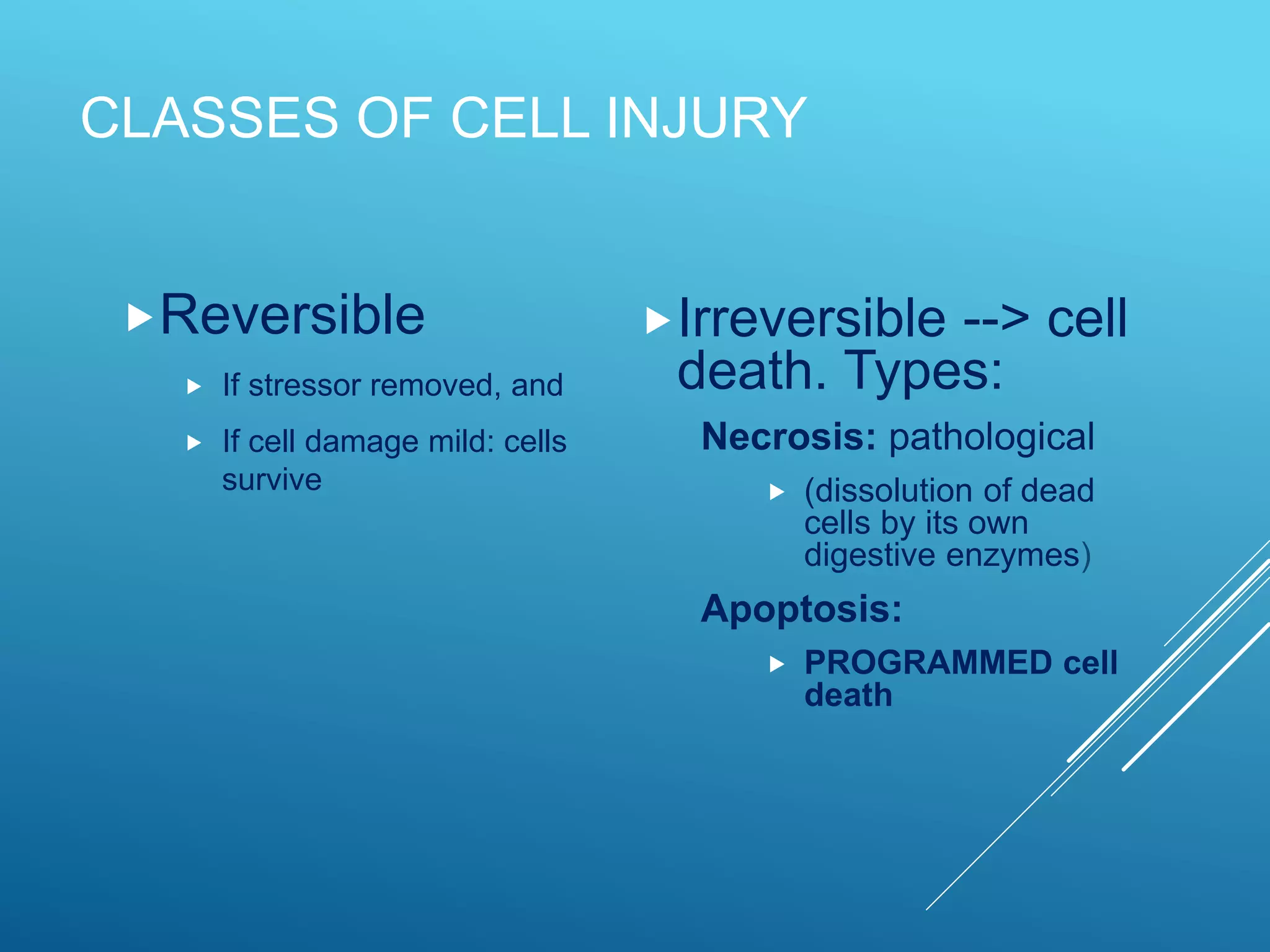 Irreversible cell i njury | PPTX
