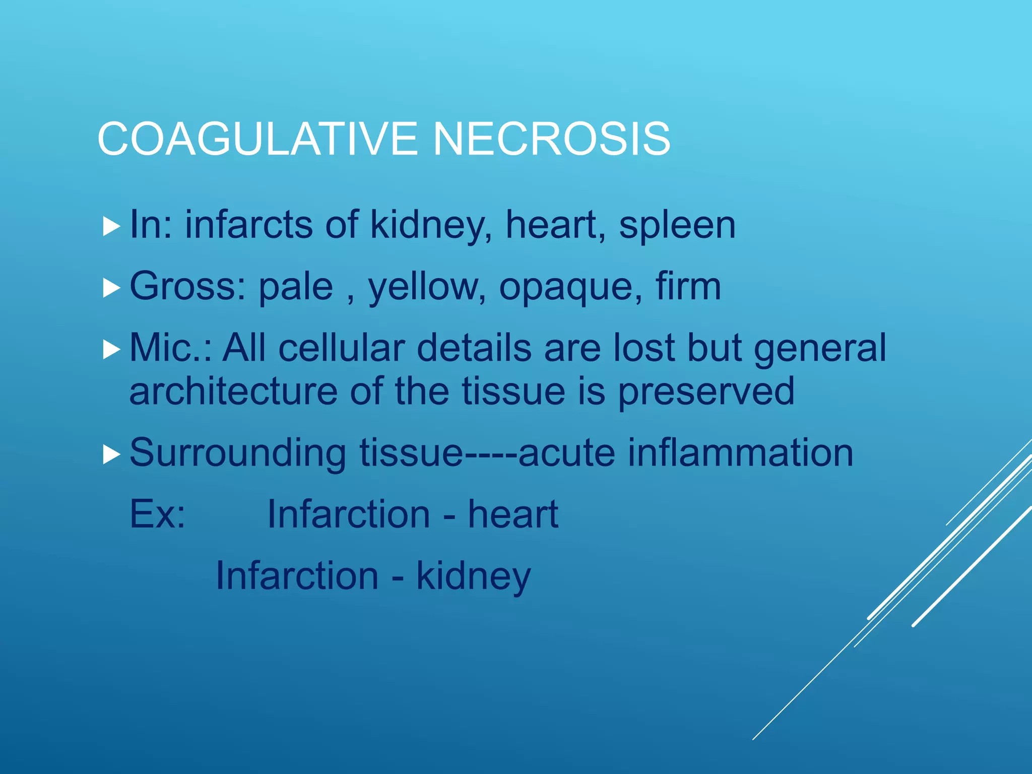 Irreversible cell i njury | PPTX