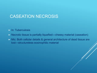 Irreversible cell i njury | PPTX