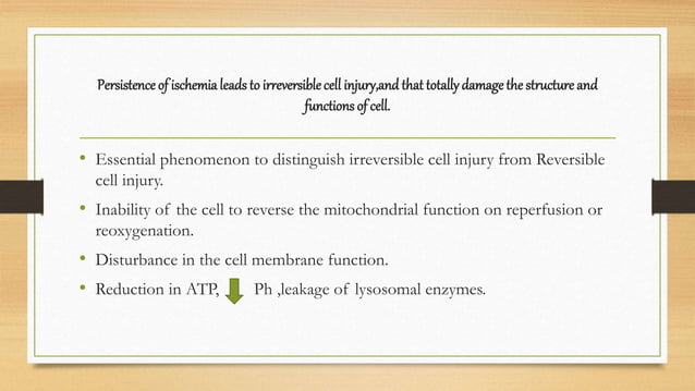 Irreversible cell injury by jayashri | PPTX | Chemistry | Science
