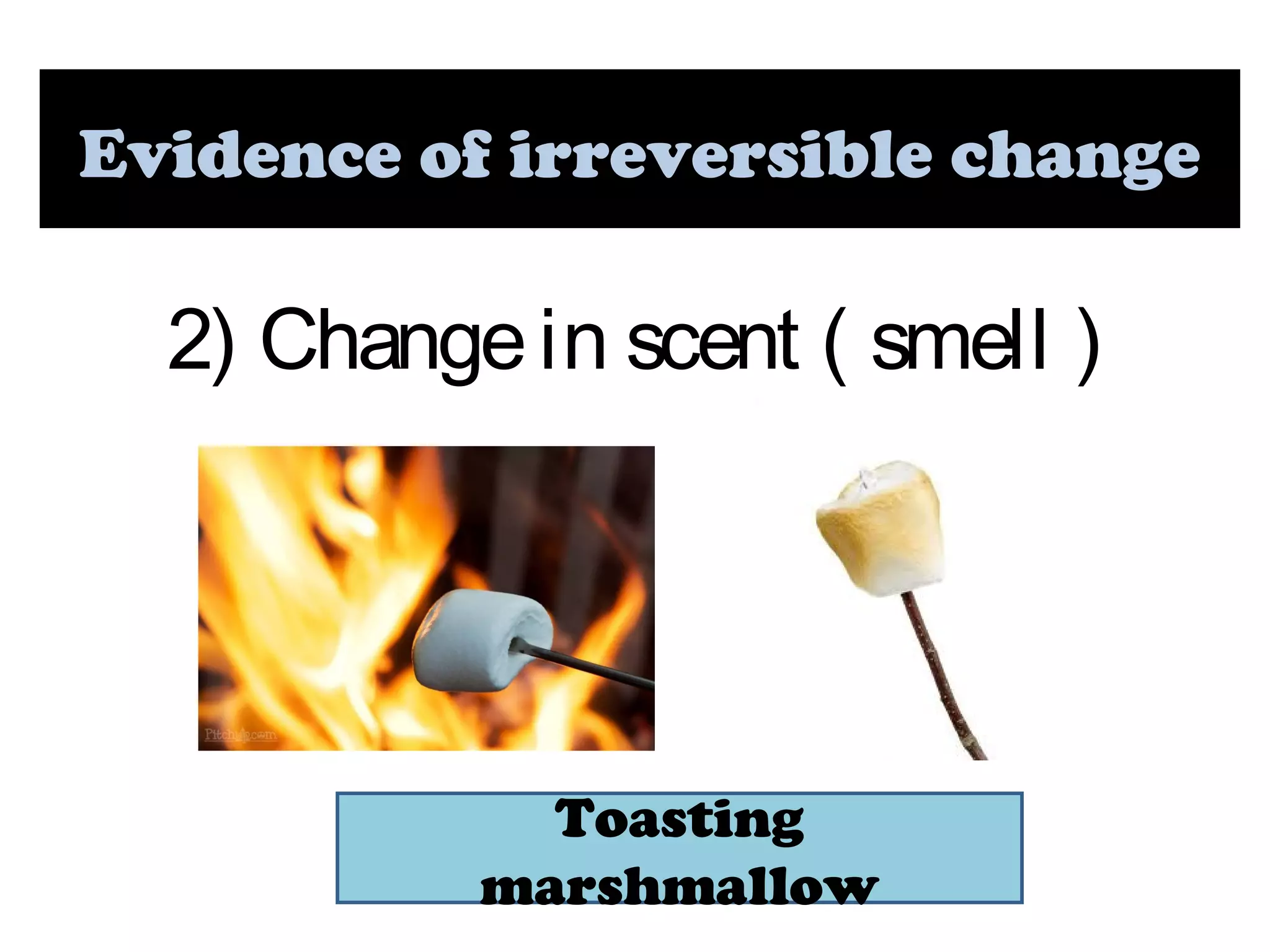 Reversible and Irreversible changes | PPT