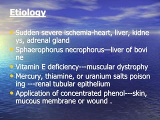 Absorption of drug | PPT