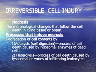 Absorption of drug | PPT
